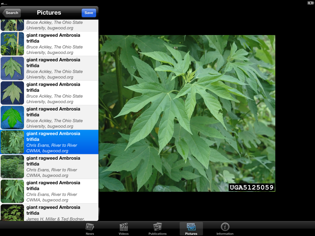 IPM Toolkit app for Android and Apple smartphones – Integrated Pest and ...