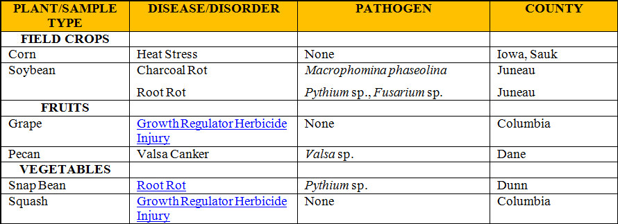 UW-Extension/Madison Plant Disease Diagnostic Clinic (PDDC) Update ...