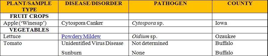 UW-Extension/Madison Plant Disease Diagnostic Clinic (PDDC) Update ...