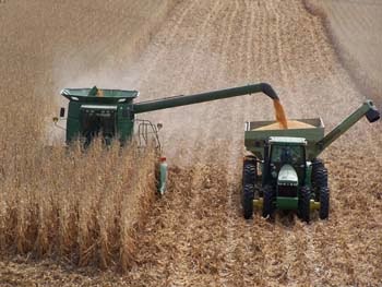 Evaluating On-Farm Test Plots – Integrated Pest and Crop Management ...