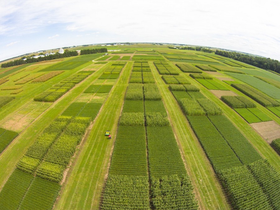 Integrated Pest and Crop Management – News and Resources for Wisconsin ...