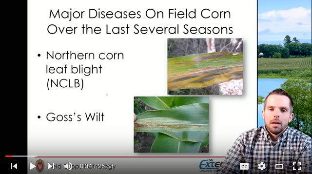 Wisconsin Corn Disease Management Update Video – Integrated Pest and ...