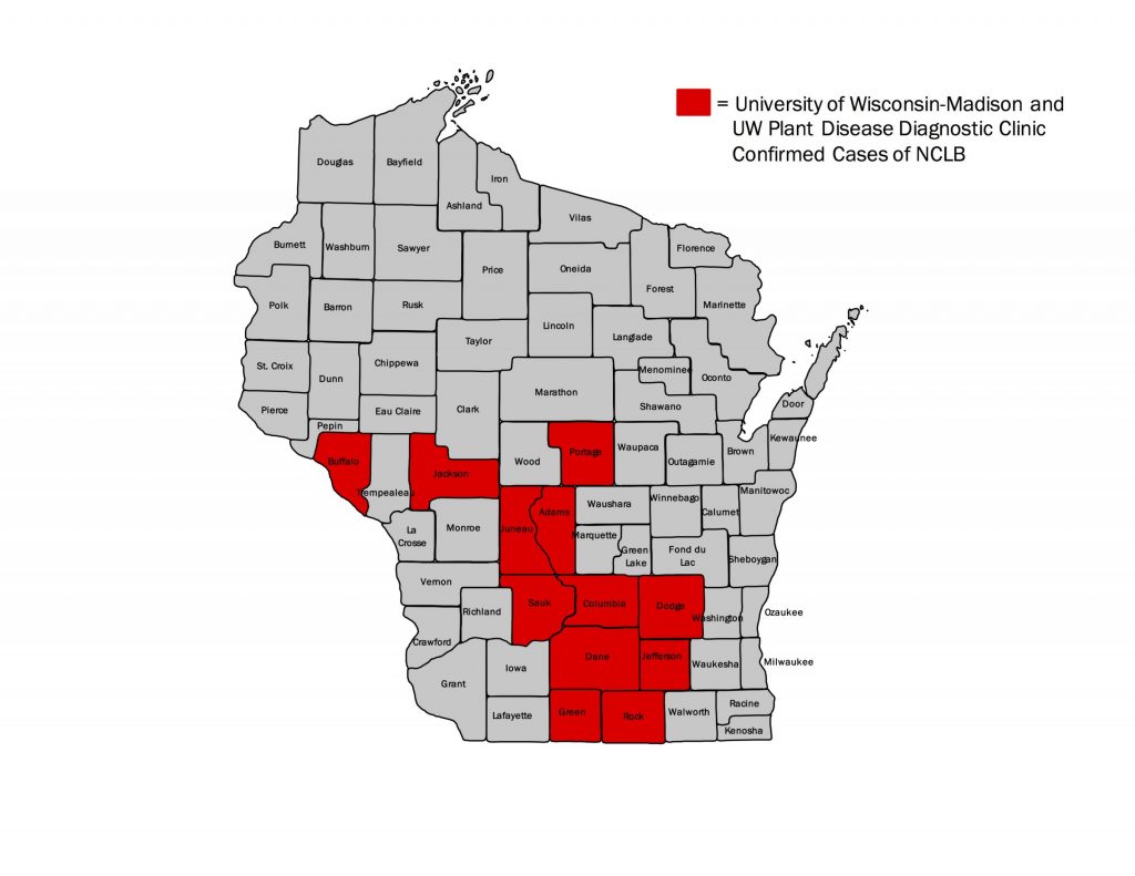 Wisconsin Northern Corn Leaf Blight Update – June 29, 2016 – Integrated ...