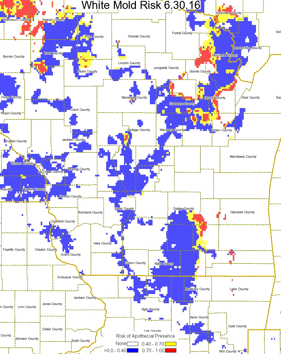 Time to Start Watching for White Mold in Soybeans – Integrated Pest and ...