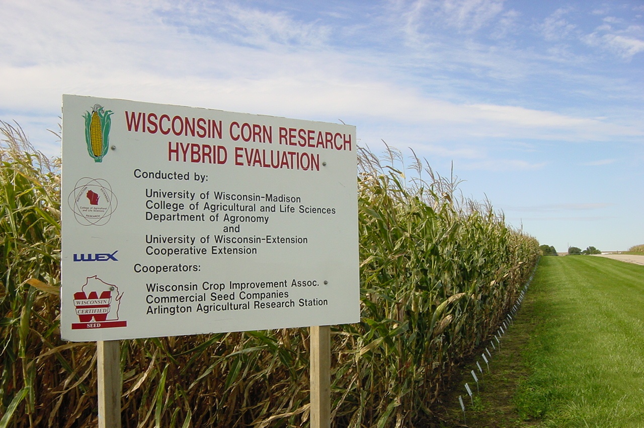 2016 Wisconsin Corn Hybrid Performance Trials – Integrated Pest and ...