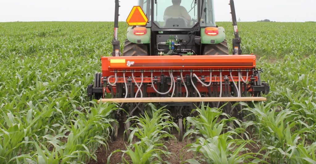 Interseeding Cover Crops – Integrated Pest and Crop Management – UW–Madison