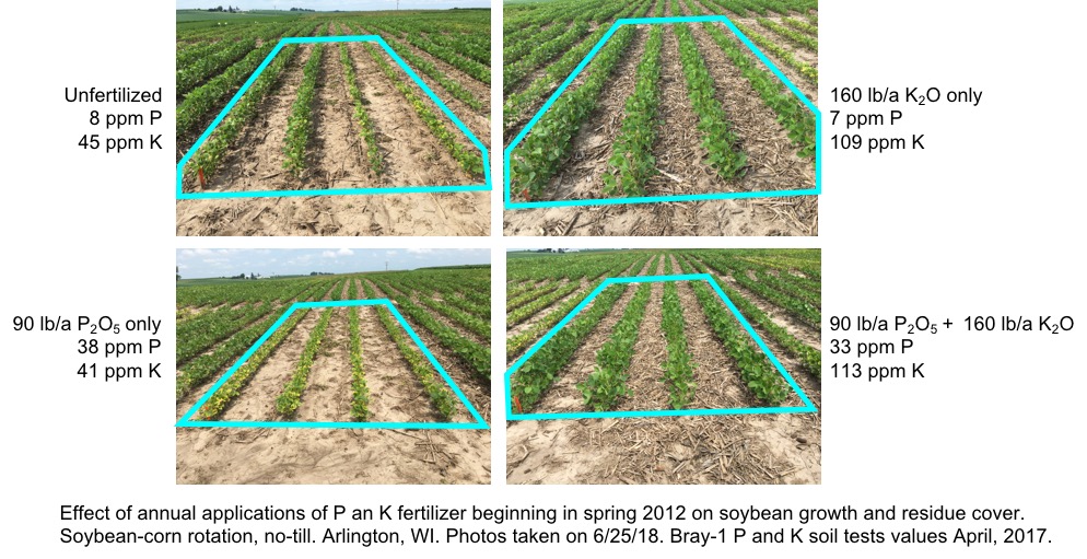 Maintaining Soil Fertility is Important For Soil Health – Integrated ...