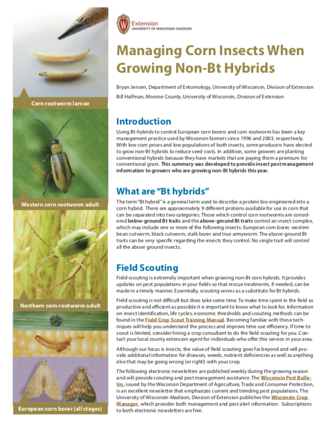 Managing Corn Insects When Growing Non-Bt Hybrids – Integrated Pest and ...