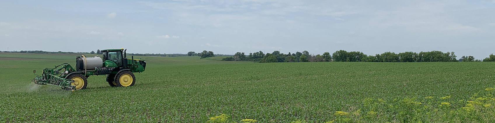 2019 Wisconsin Corn Hybrid Performance Trials – Integrated Pest and ...