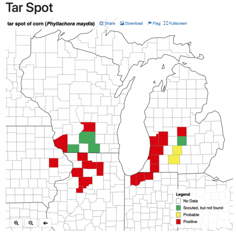 Tar Spot Now Confirmed in Wisconsin in 2019 – Integrated Pest and Crop ...