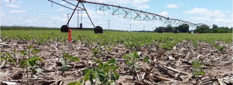 Soybean Irrigation during Reproductive Growth – Integrated Pest and Crop Management – UW–Madison