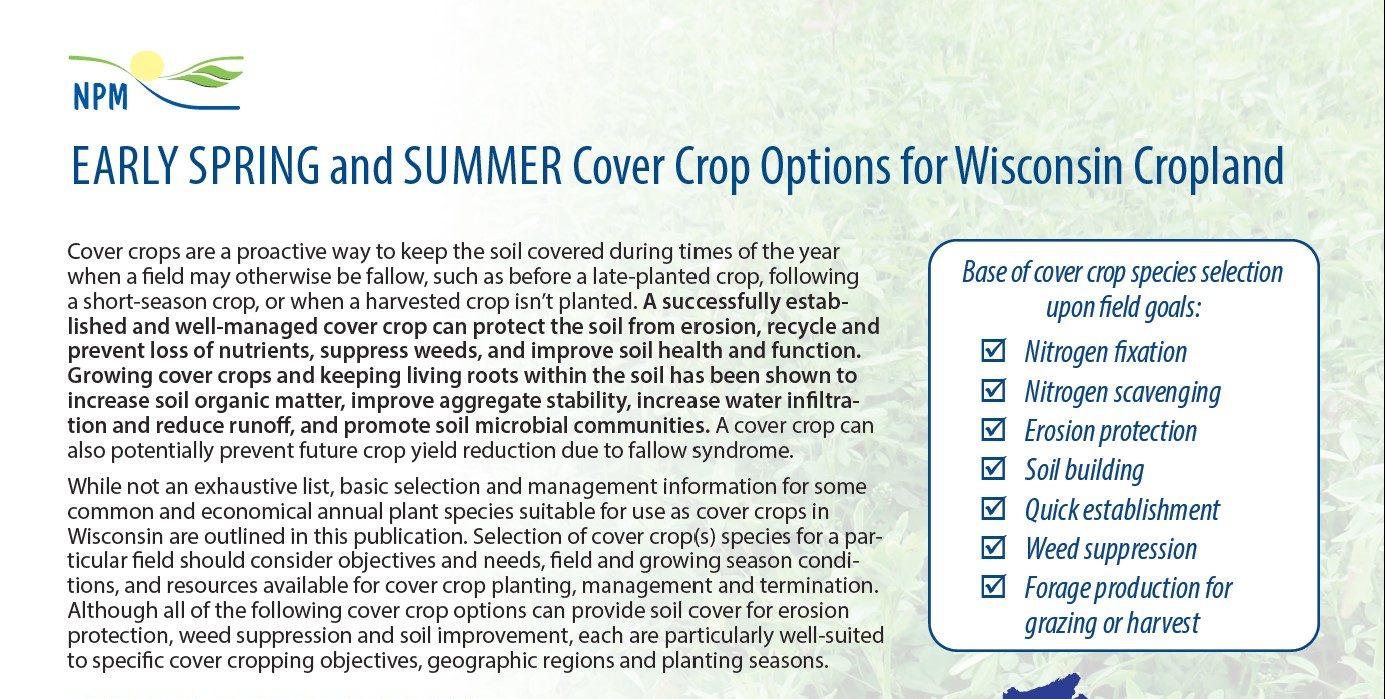 NEW! Early Spring and Summer Cover Crop Options for Wisconsin Cropland ...