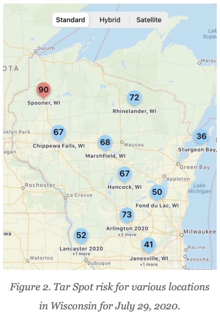 Wisconsin Corn Tar Spot Update – Integrated Pest and Crop Management ...