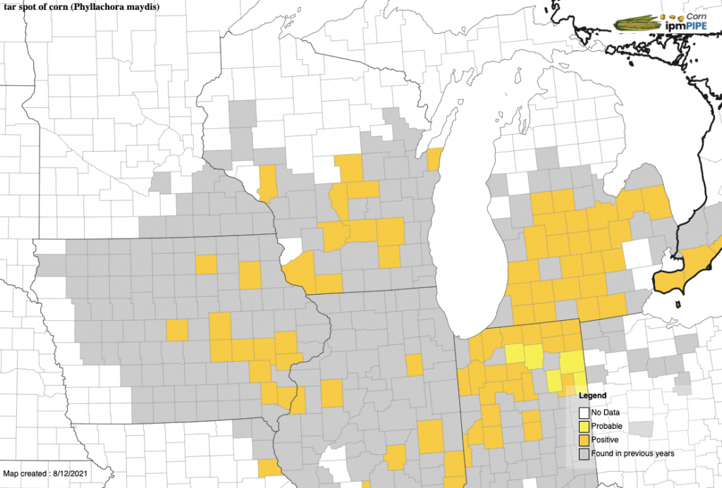 Wisconsin Soybean and Corn Disease Update – Integrated Pest and Crop ...