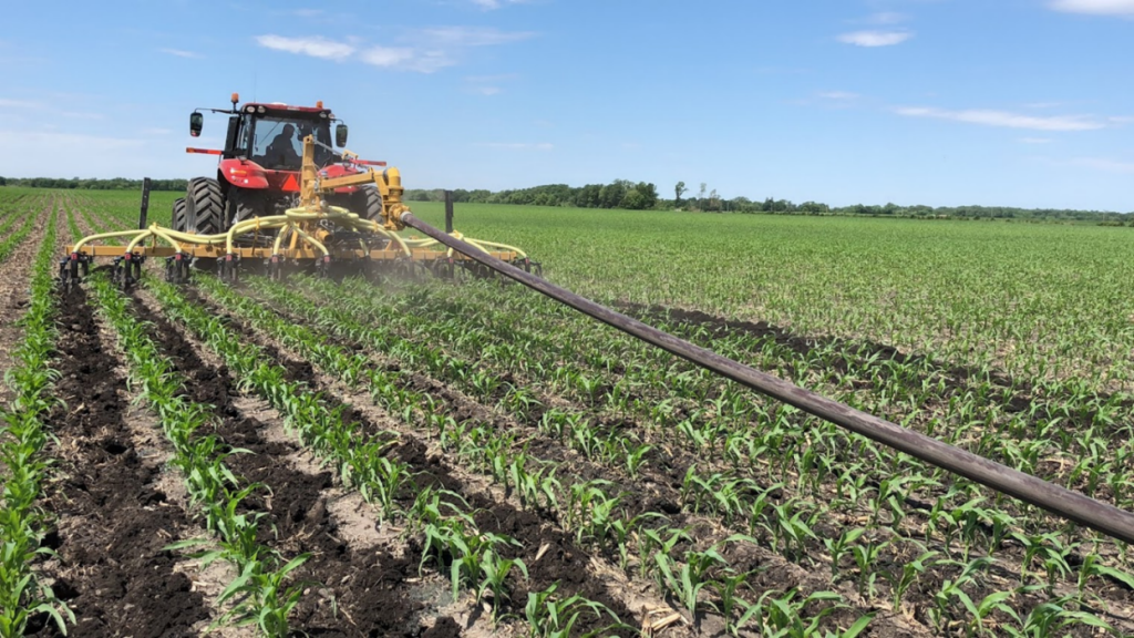 Dragging a manure hose over corn at early growth stages does not reduce ...