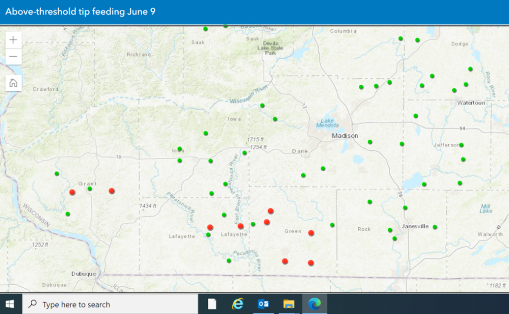 Alfalfa Weevil – Integrated Pest and Crop Management – UW–Madison