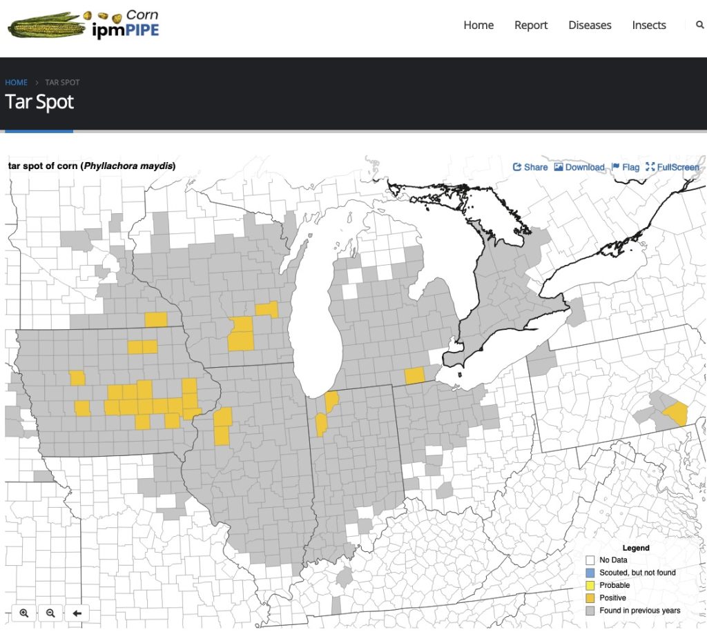Wisconsin Corn and Soybean Disease Update and Forecast – Integrated ...