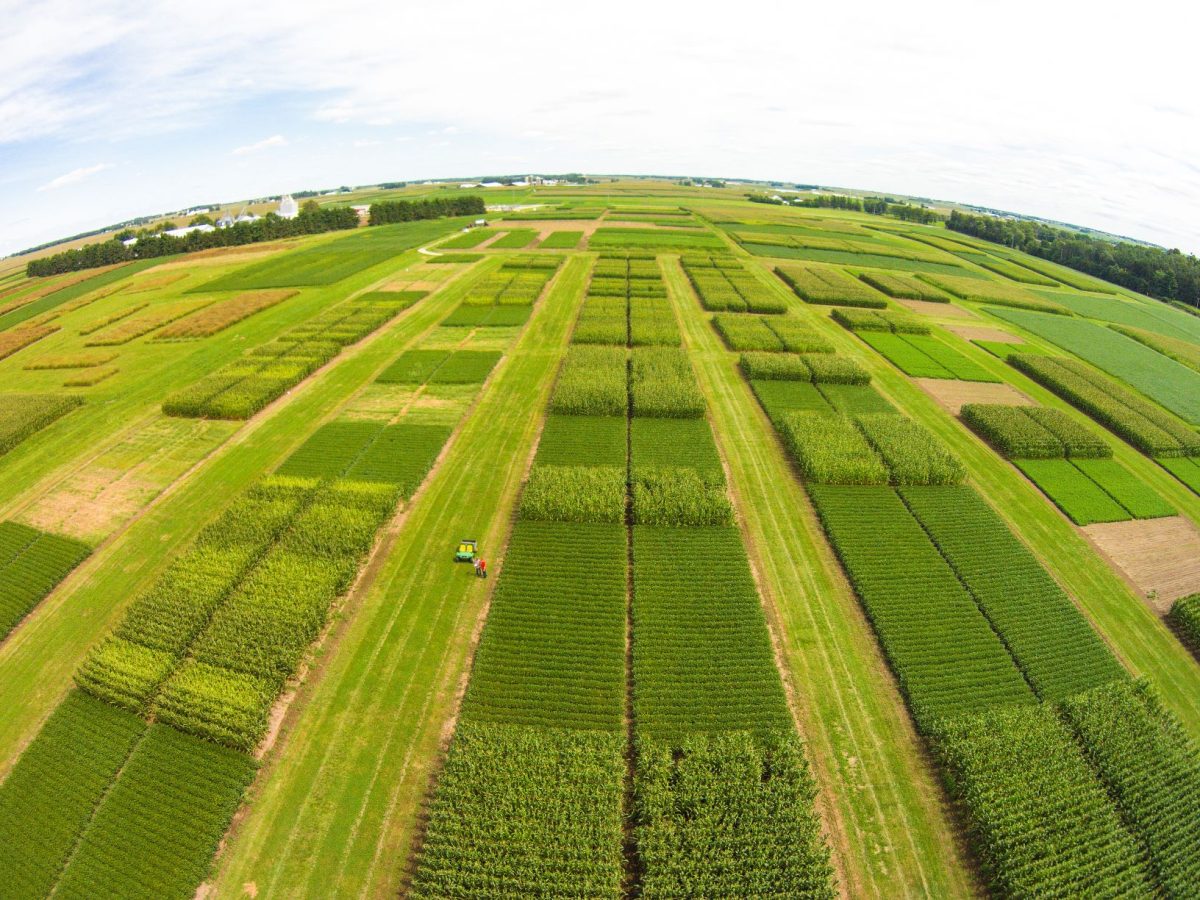 Integrated Pest and Crop Management – News and Resources for Wisconsin ...